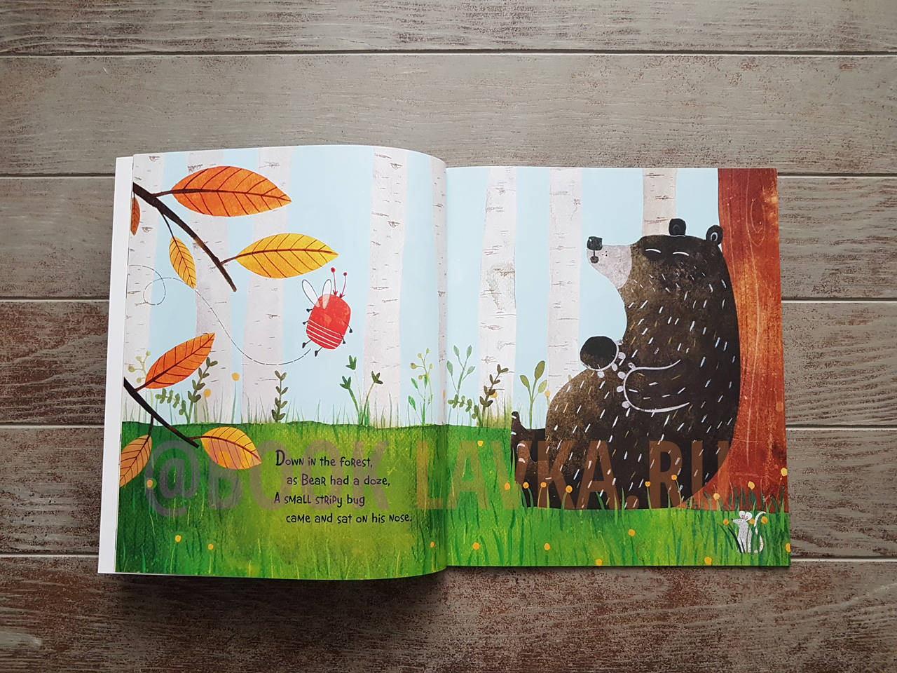 Bug Bear – купить в интернет-магазине Booklavka (Буклавка)