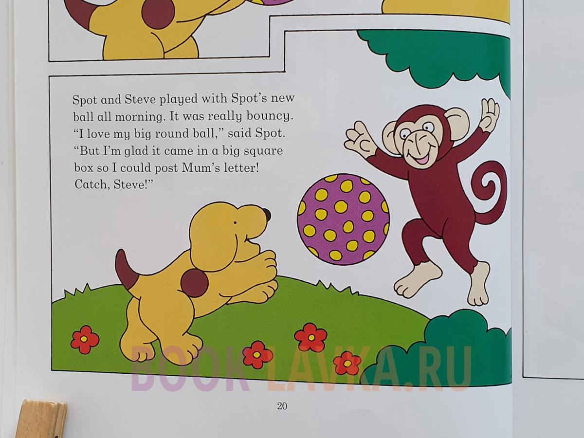 Spot's Bedtime Storybook – купить в интернет-магазине Booklavka (Буклавка)