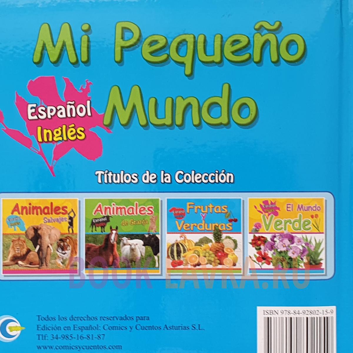El Mundo Verde (Billingual Book) – купить в интернет-магазине Booklavka ...