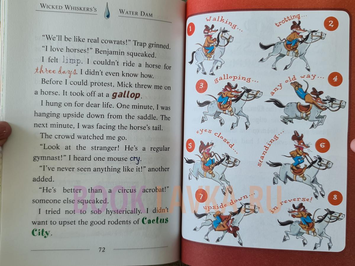 Geronimo Stilton: Wild, Wild West (UK Original) – купить в интернет ...