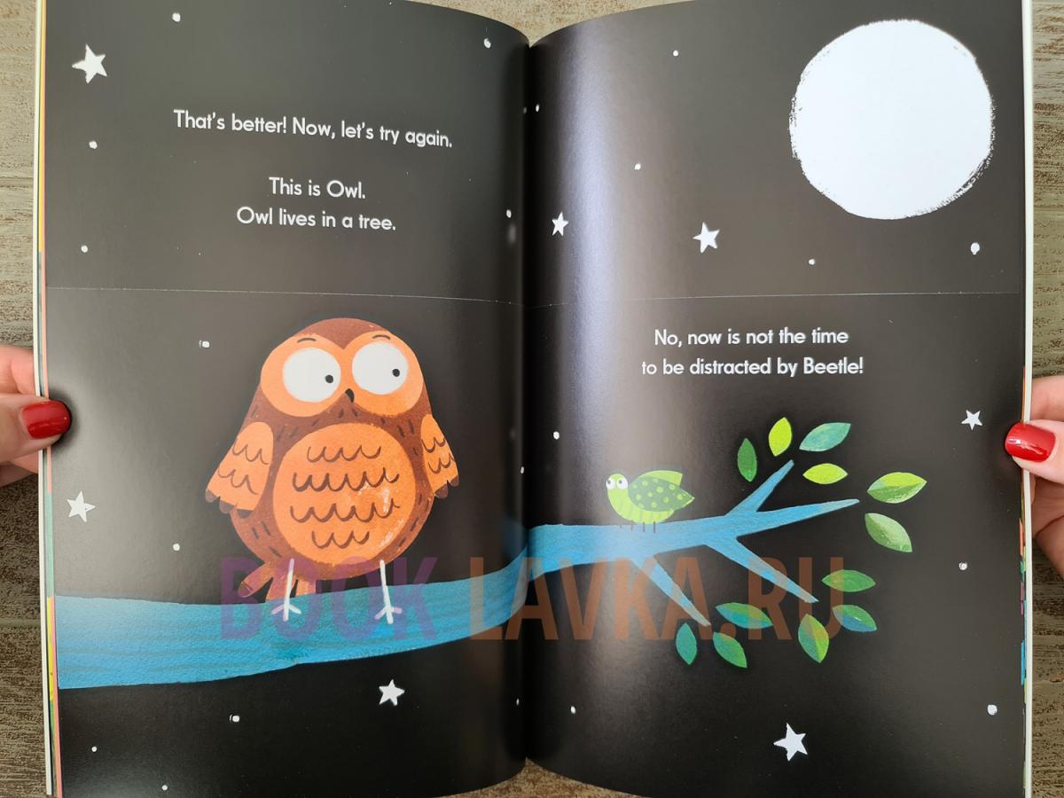 This is Owl: A flapping, tapping, clapping interactive book – купить в ...