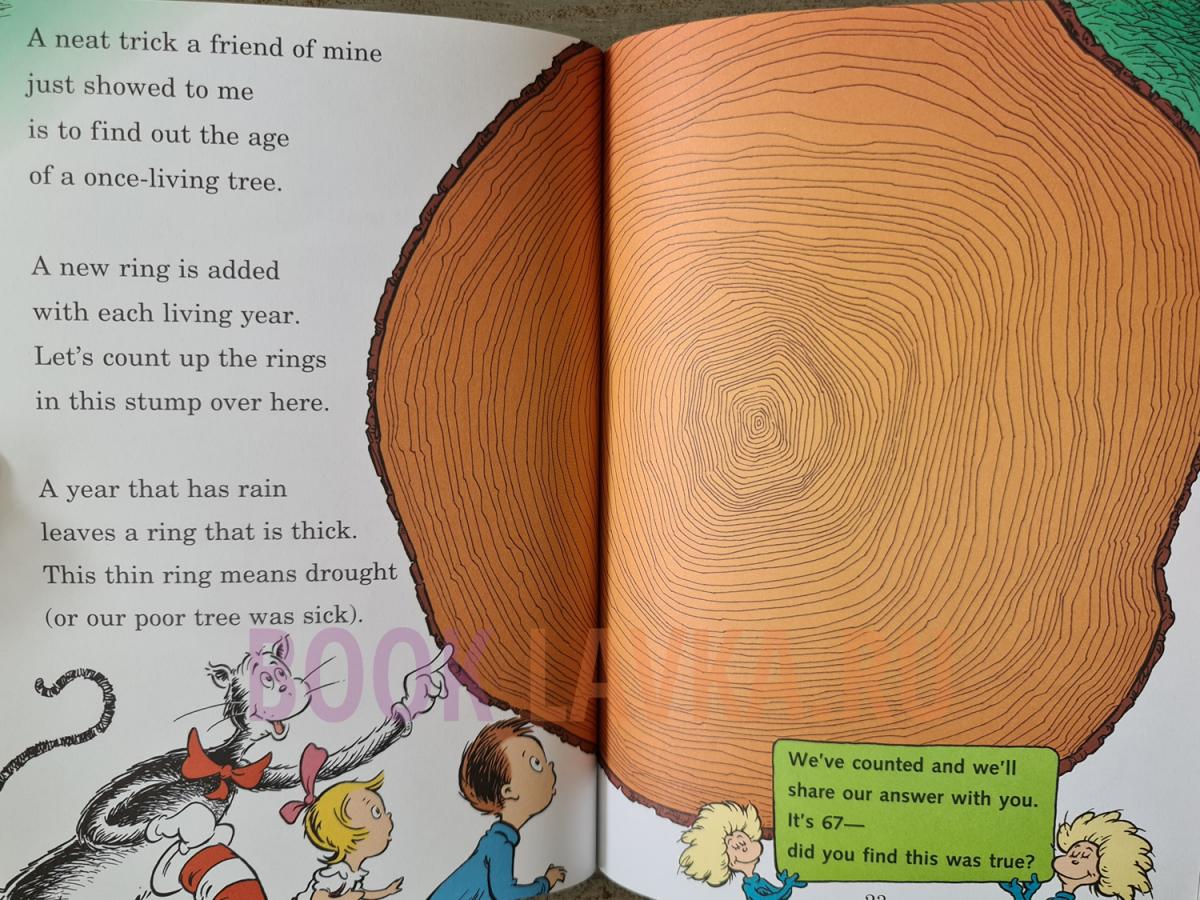 I Can Name 50 Trees Today! All about Trees – купить в интернет-магазине ...