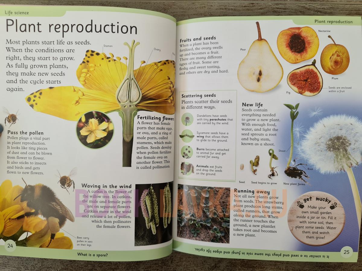 First Science Encyclopedia: A First Reference Book for Children ...