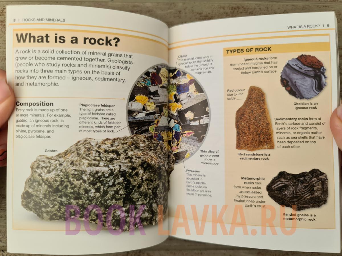 Pocket Eyewitness Rocks and Minerals: Facts at Your Fingertips – купить ...
