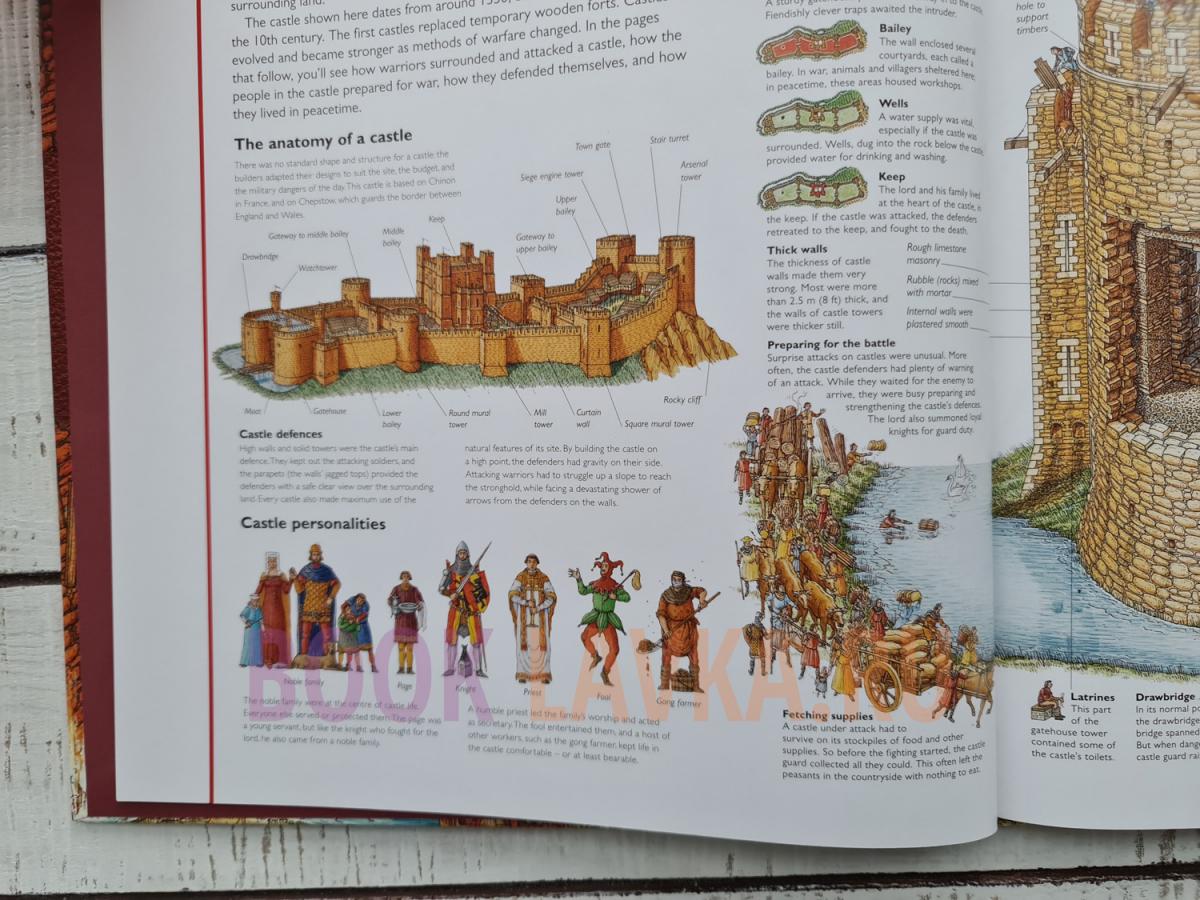 Stephen Biesty's Cross-Sections Castle – купить в интернет-магазине ...