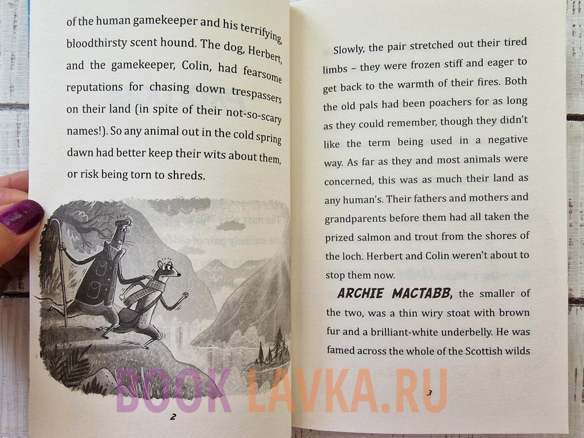Toto the Ninja Cat and the Legend of the Wildcat: Book 5 – купить в ...