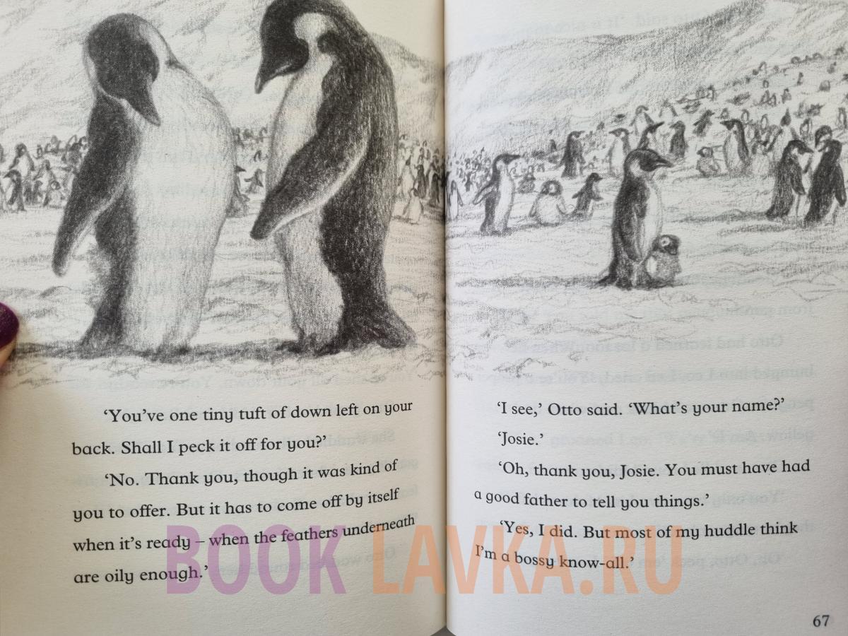 The Penguin Who Wanted to Find Out – купить в интернет-магазине ...