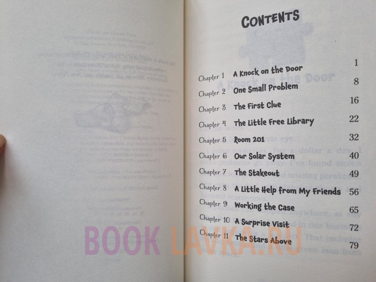 Jigsaw Jones Mystery The Case from Outer Space – купить в интернет ...