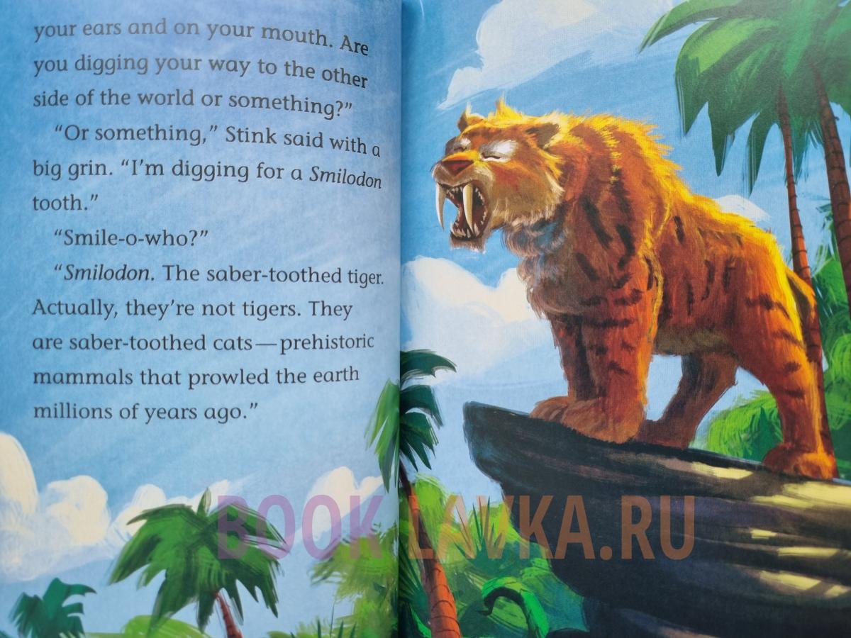 Judy Moody and Friends 12 Books Set (China) – купить в интернет ...