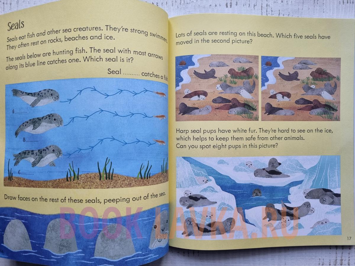 Little Children's Under the Sea Activity Book – купить в интернет ...