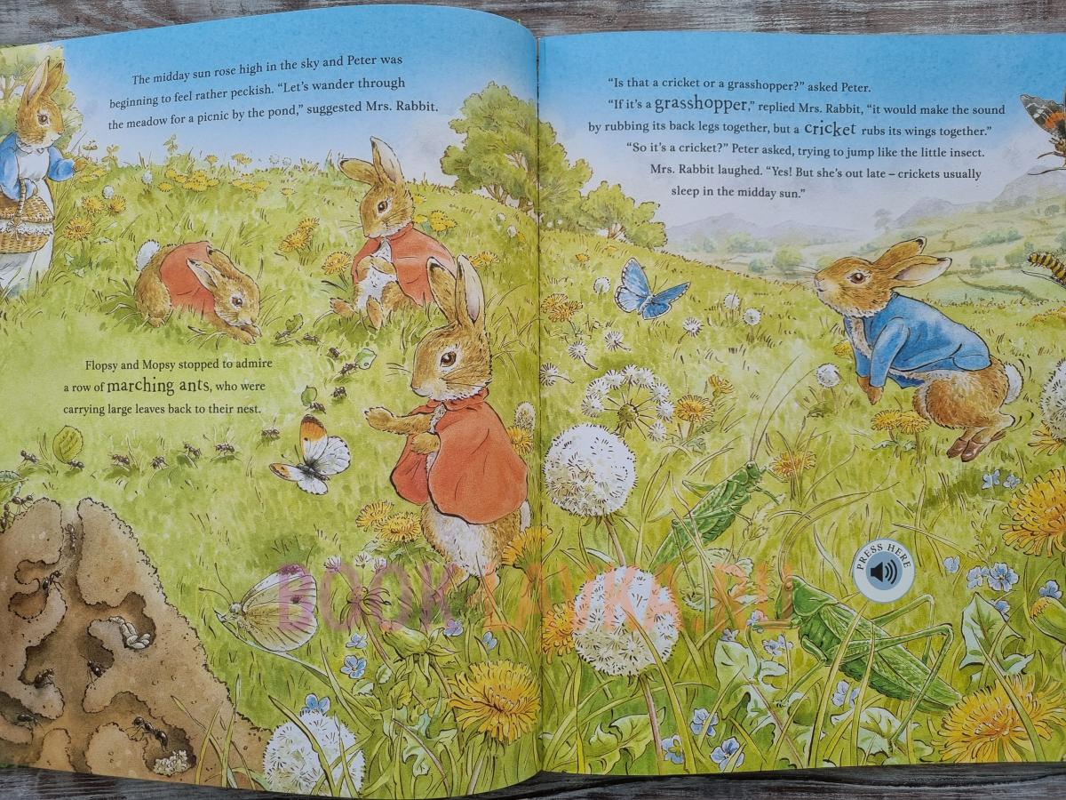 Peter Rabbit: Peter's Nature Walk - A Sound Book – купить в интернет ...