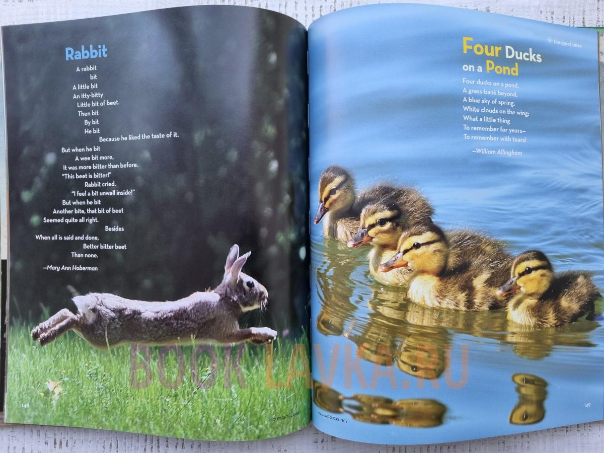 National Geographic Kids Book of Animal Poetry: 200 Poems with ...