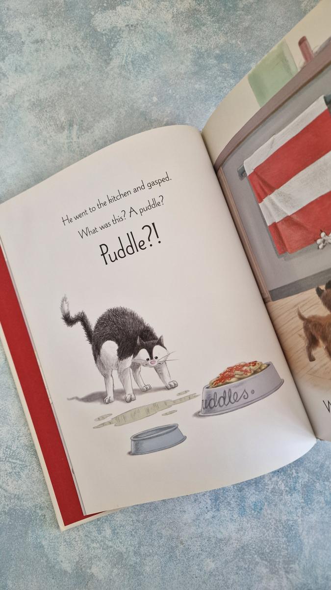 Fuddles and Puddles – купить в интернет-магазине Booklavka (Буклавка)