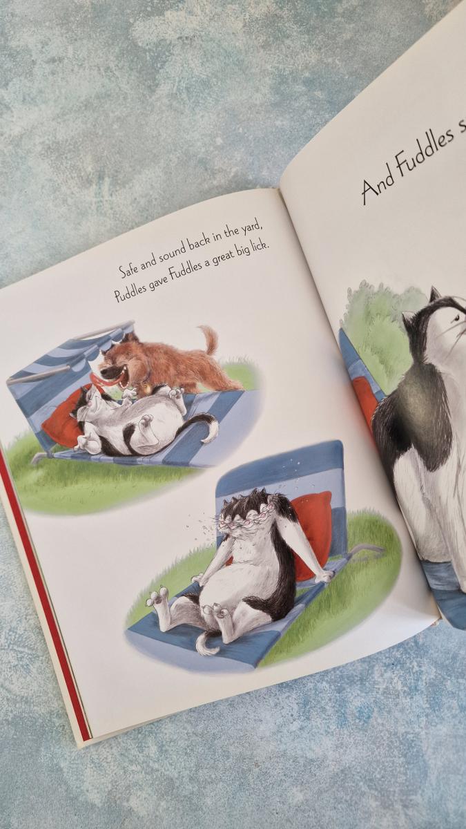 Fuddles and Puddles – купить в интернет-магазине Booklavka (Буклавка)