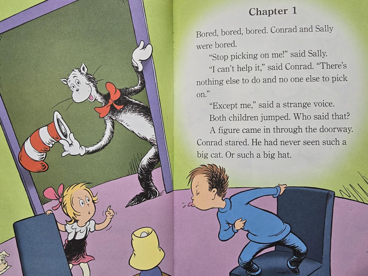 The Cat in the Hat Do Not Open this Crate – купить в интернет-магазине ...