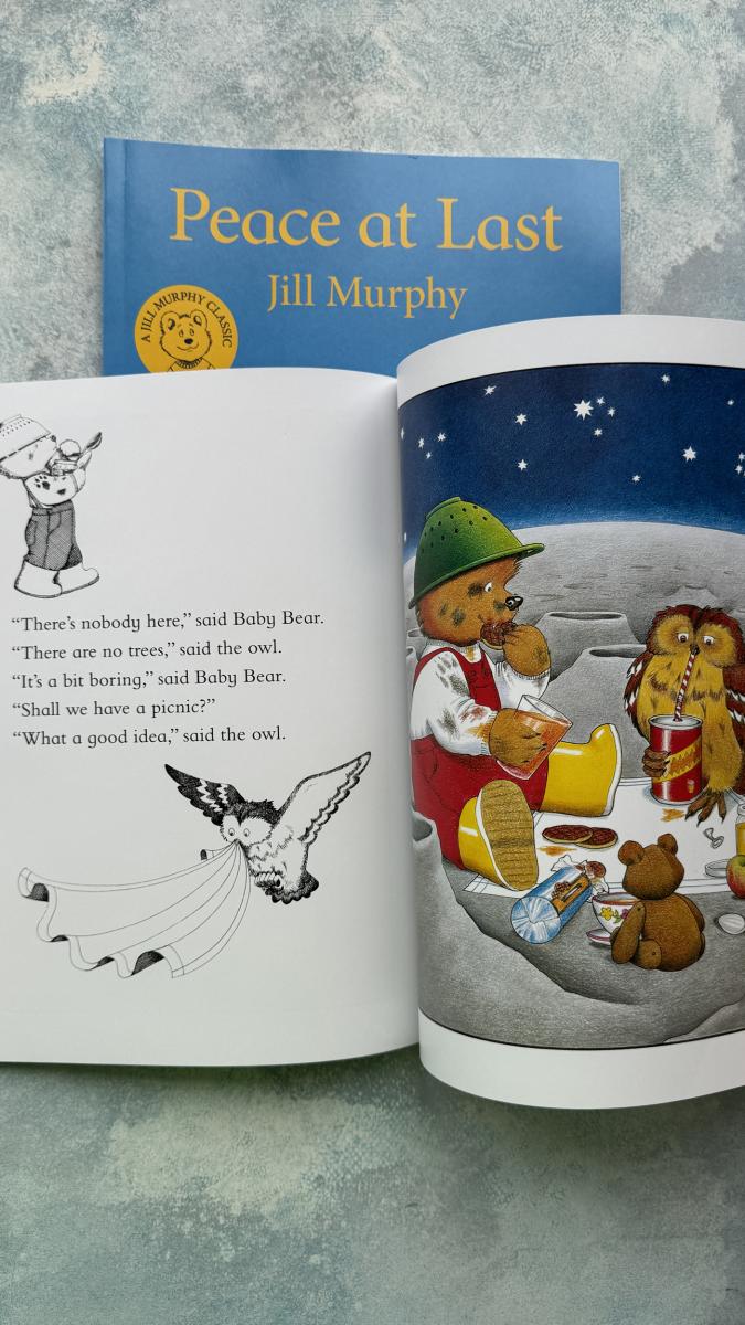Whatever Next! – купить в интернет-магазине Booklavka (Буклавка)