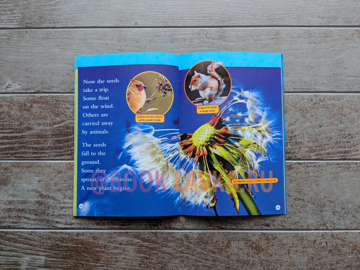 National Geographic Kids: Seed to Plant – купить в интернет-магазине ...