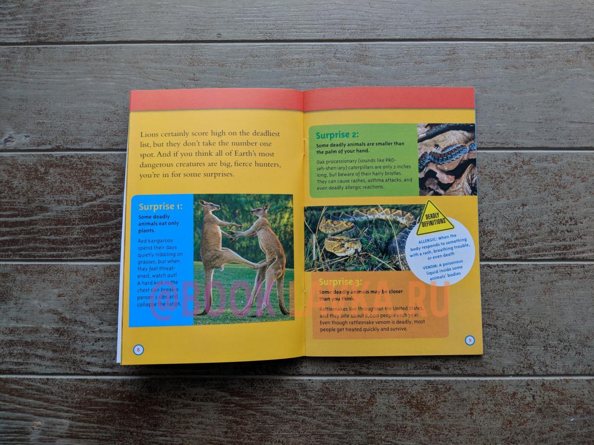National Geographic Kids: Deadliest Animals – купить в интернет ...