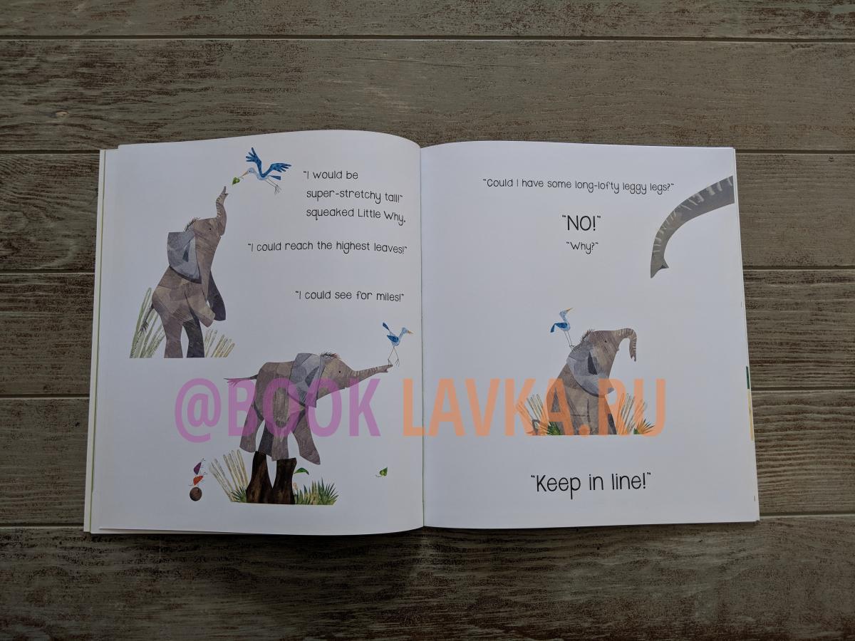 Little Why – купить в интернет-магазине Booklavka (Буклавка)