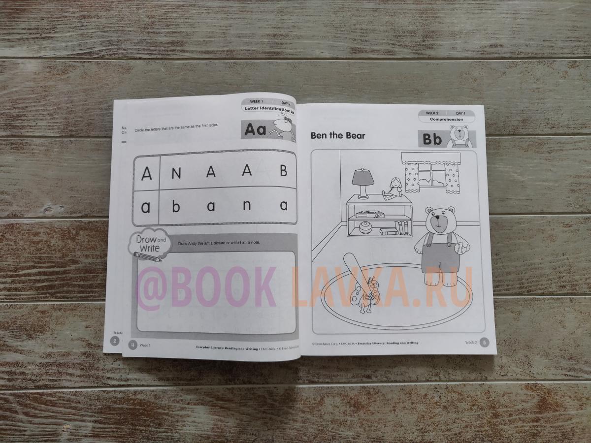 Everyday Literacy: Reading & Writing, Grade PreK – купить в интернет ...