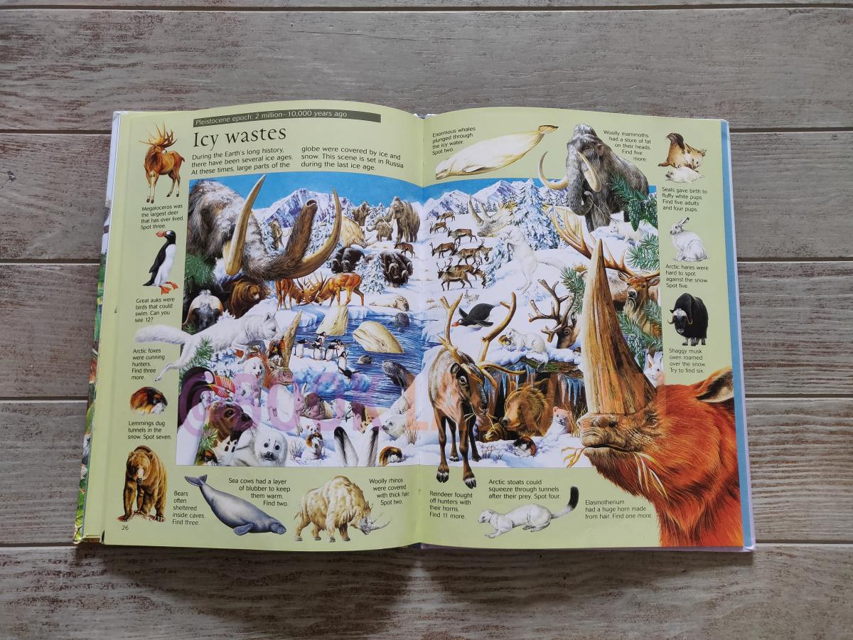 The Great Prehistoric Search – купить в интернет-магазине Booklavka ...