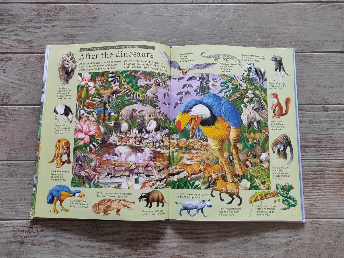 The Great Prehistoric Search – купить в интернет-магазине Booklavka ...