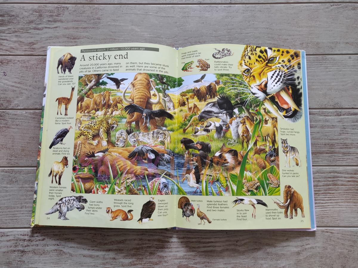The Great Prehistoric Search – купить в интернет-магазине Booklavka ...