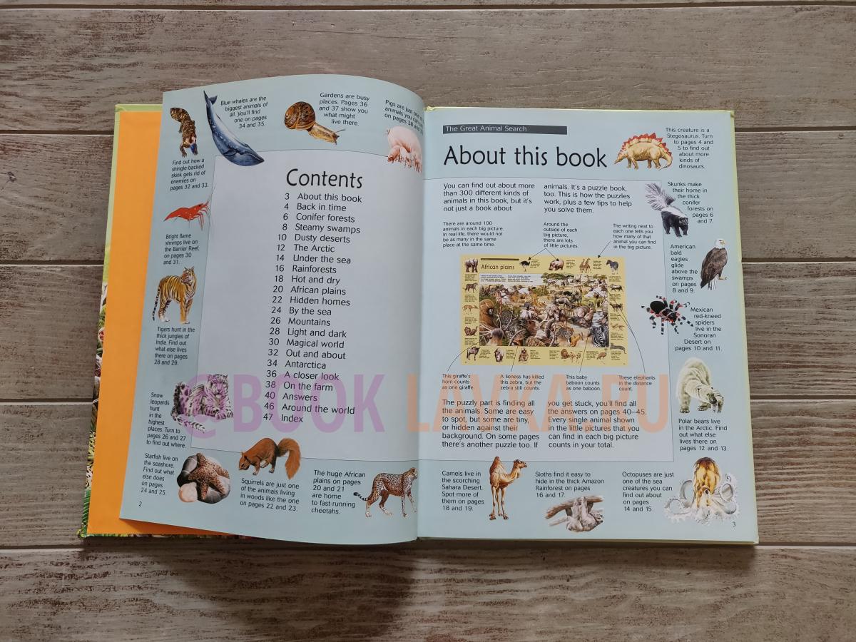 The Great Animal Search – купить в интернет-магазине Booklavka (Буклавка)