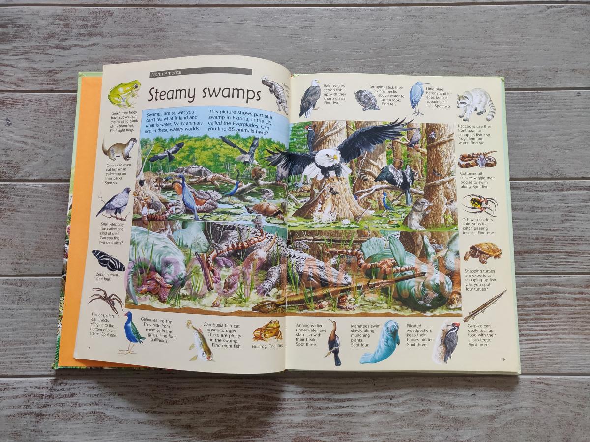 The Great Animal Search – купить в интернет-магазине Booklavka (Буклавка)