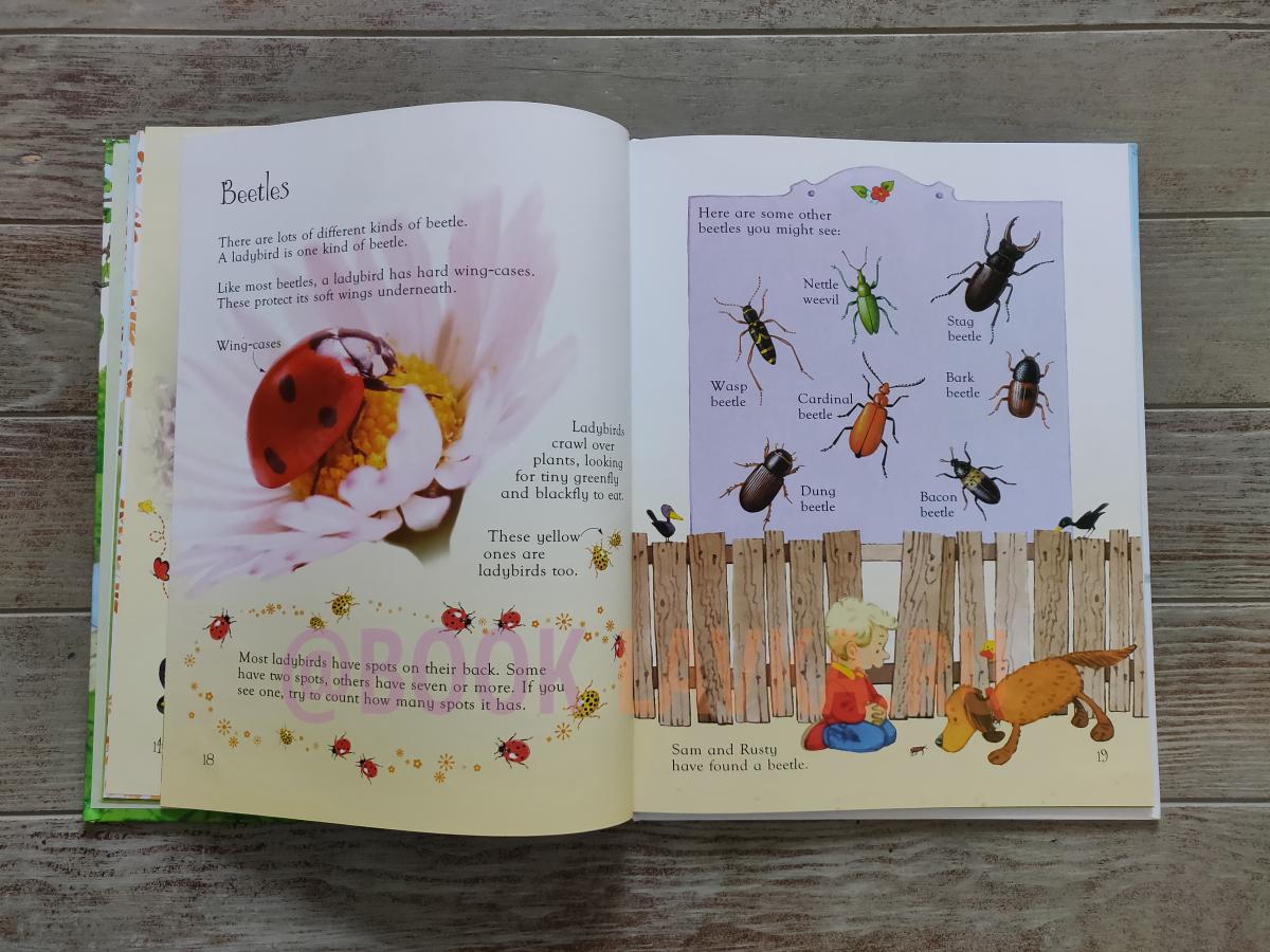 Usborne Farmyard Tales First Nature – купить в интернет-магазине ...