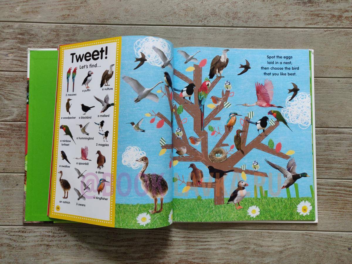 Hide and Seek Animals – купить в интернет-магазине Booklavka (Буклавка)
