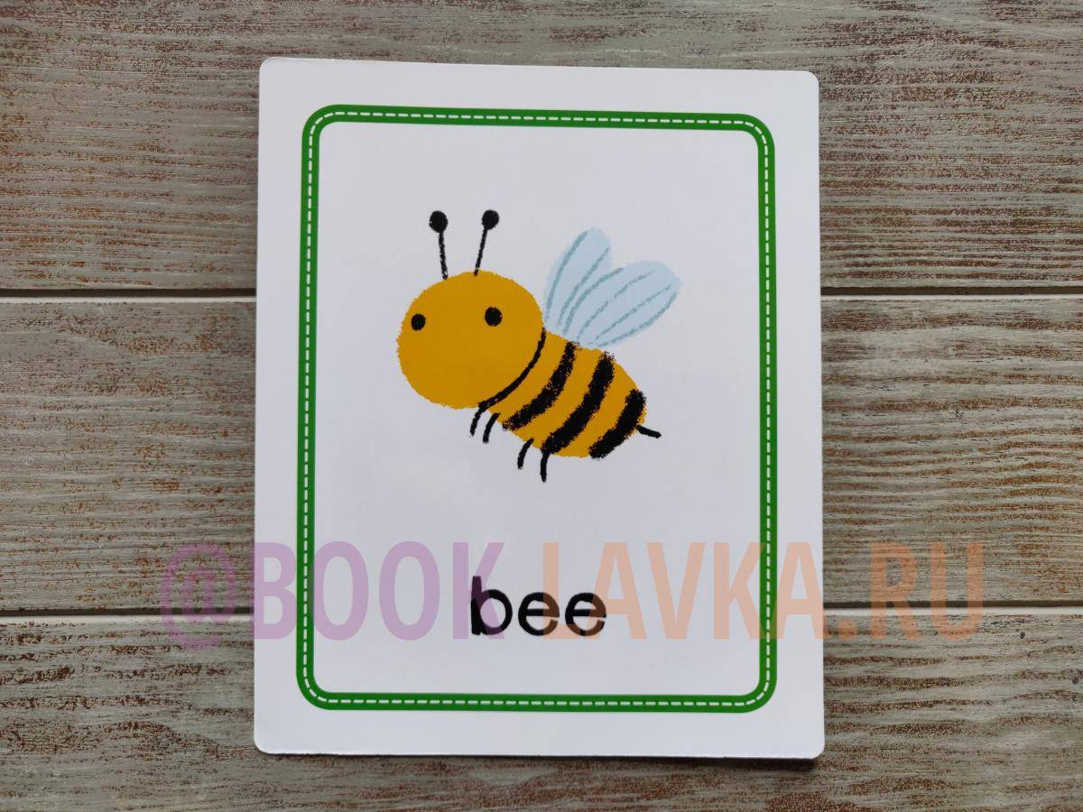 My Giant ABC flashcards – купить в интернет-магазине Booklavka (Буклавка)