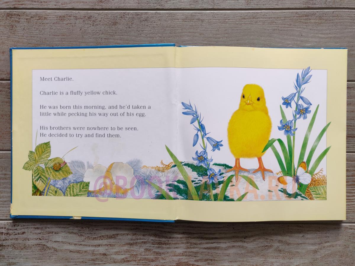 An Adventure with Charlie Chick – купить в интернет-магазине Booklavka ...