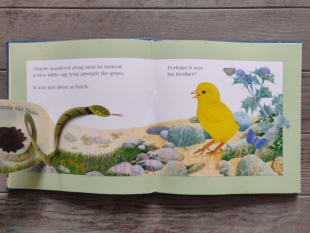 An Adventure with Charlie Chick – купить в интернет-магазине Booklavka ...