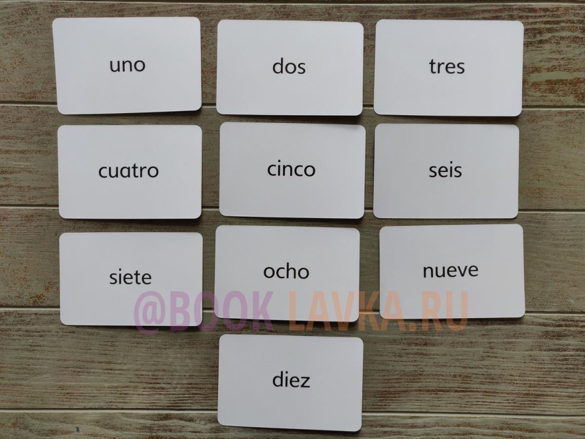 everyday-words-in-spanish-flashcards