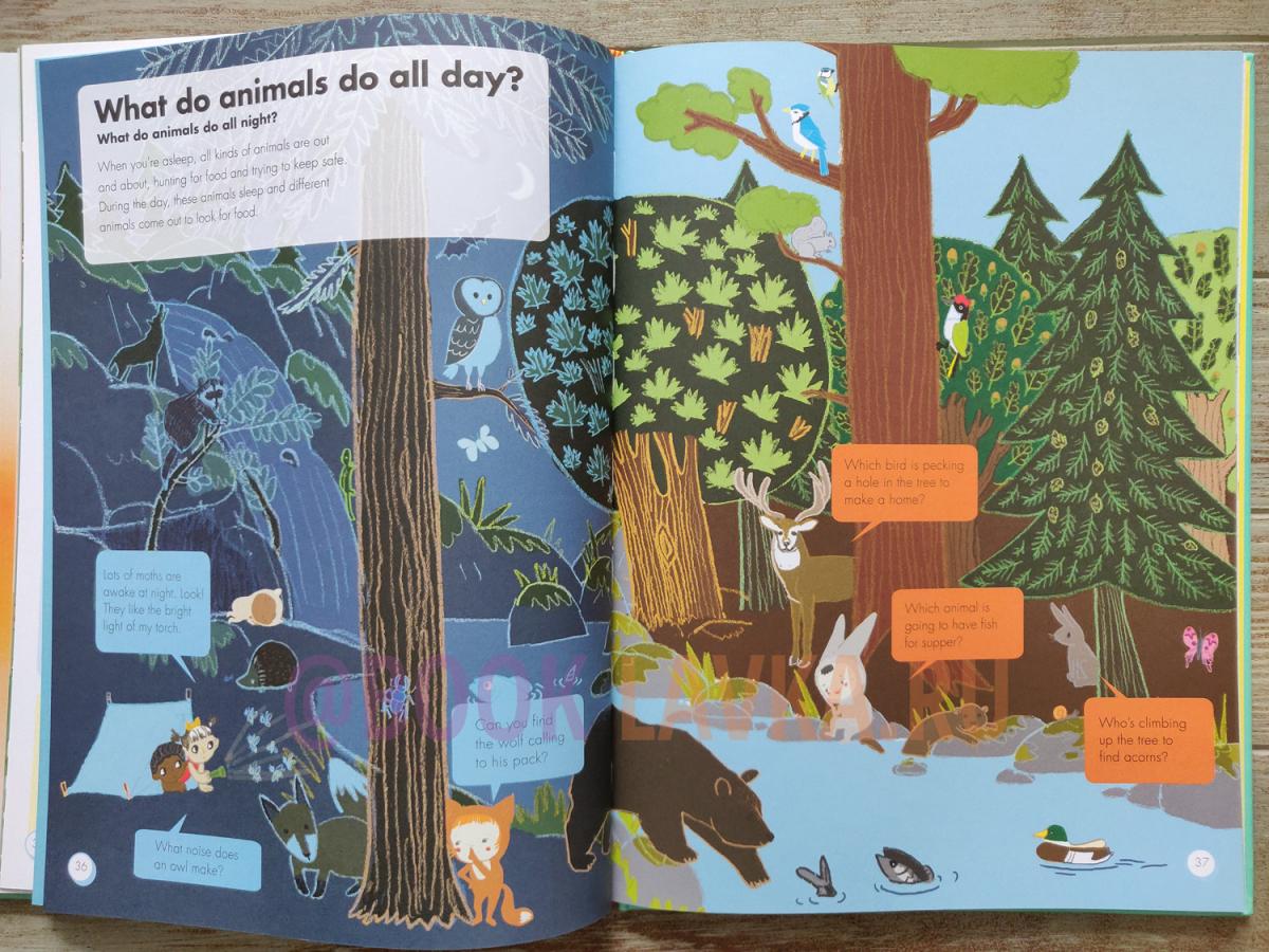 My Animal Book – купить в интернет-магазине Booklavka (Буклавка)