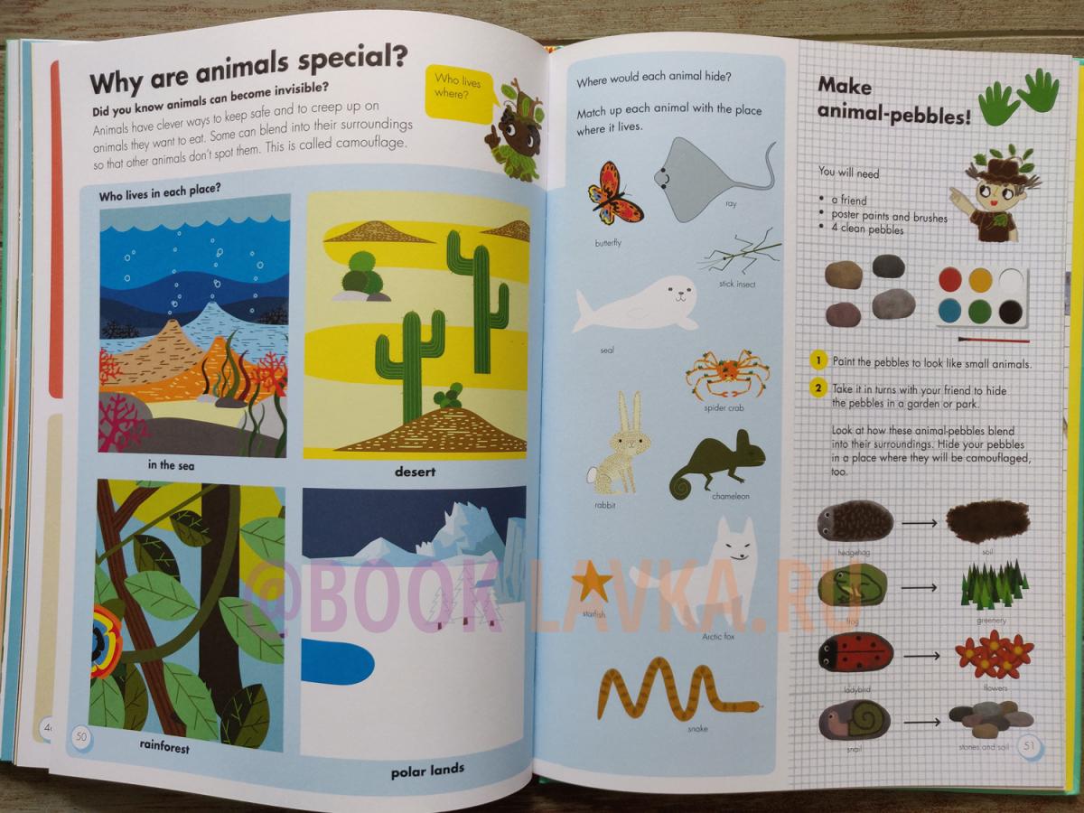 My Animal Book – купить в интернет-магазине Booklavka (Буклавка)