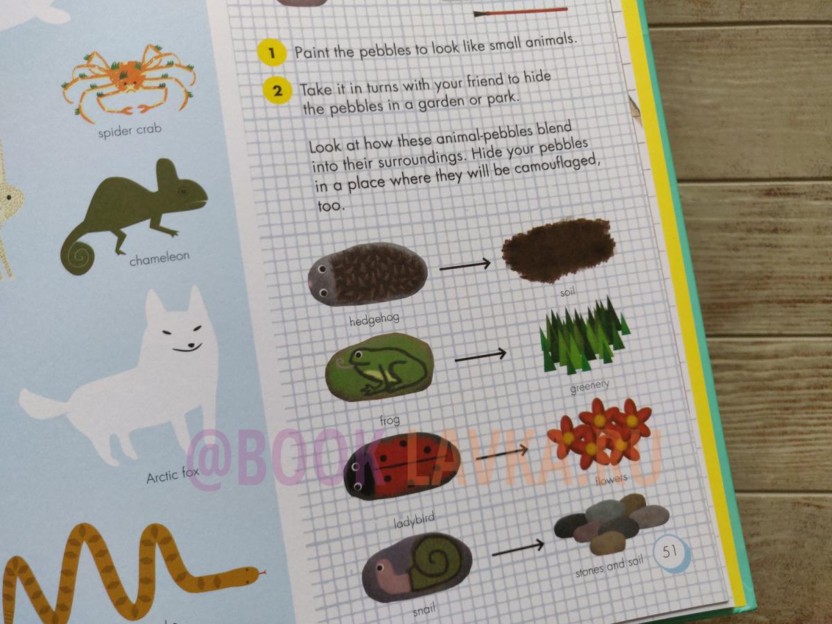 My Animal Book | Booklavka (Буклавка)