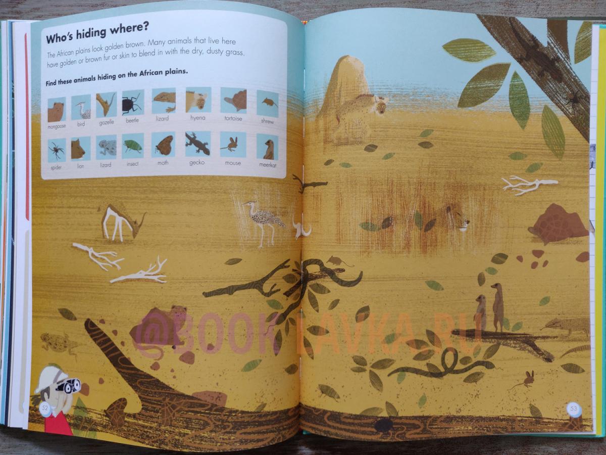 My Animal Book – купить в интернет-магазине Booklavka (Буклавка)