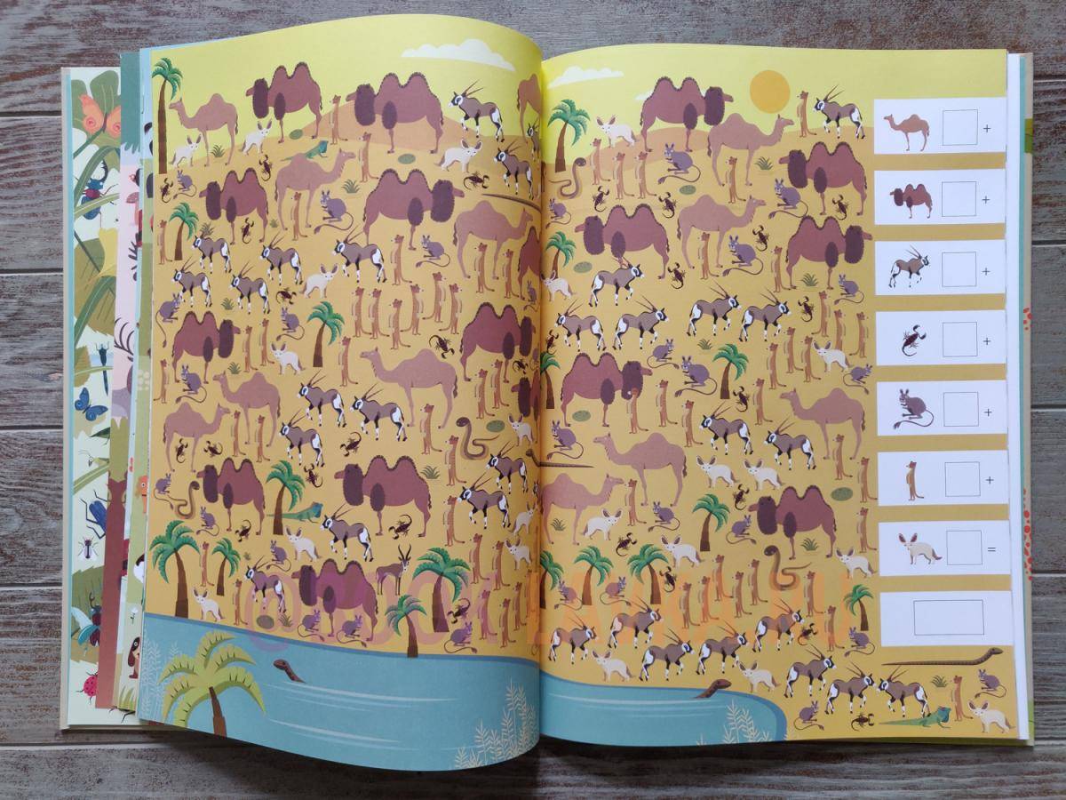 Hidden in Nature : Search, Find and Count – купить в интернет-магазине ...