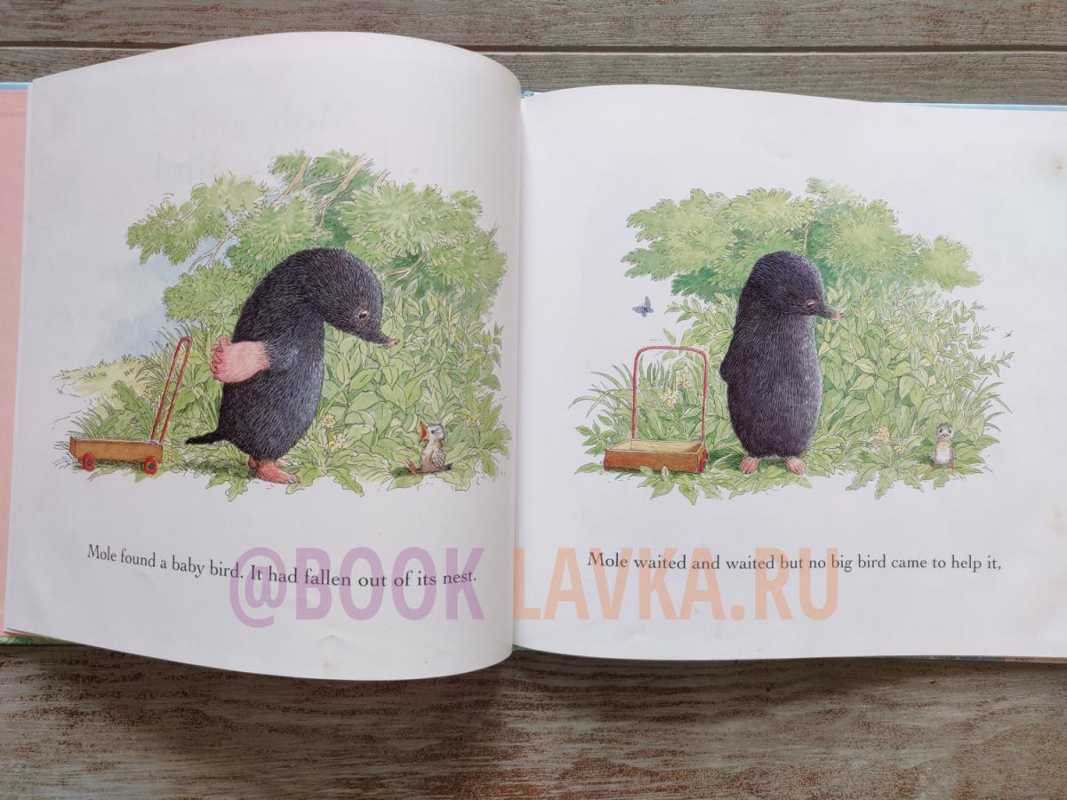 Mole and the Baby Bird – купить в интернет-магазине Booklavka (Буклавка)