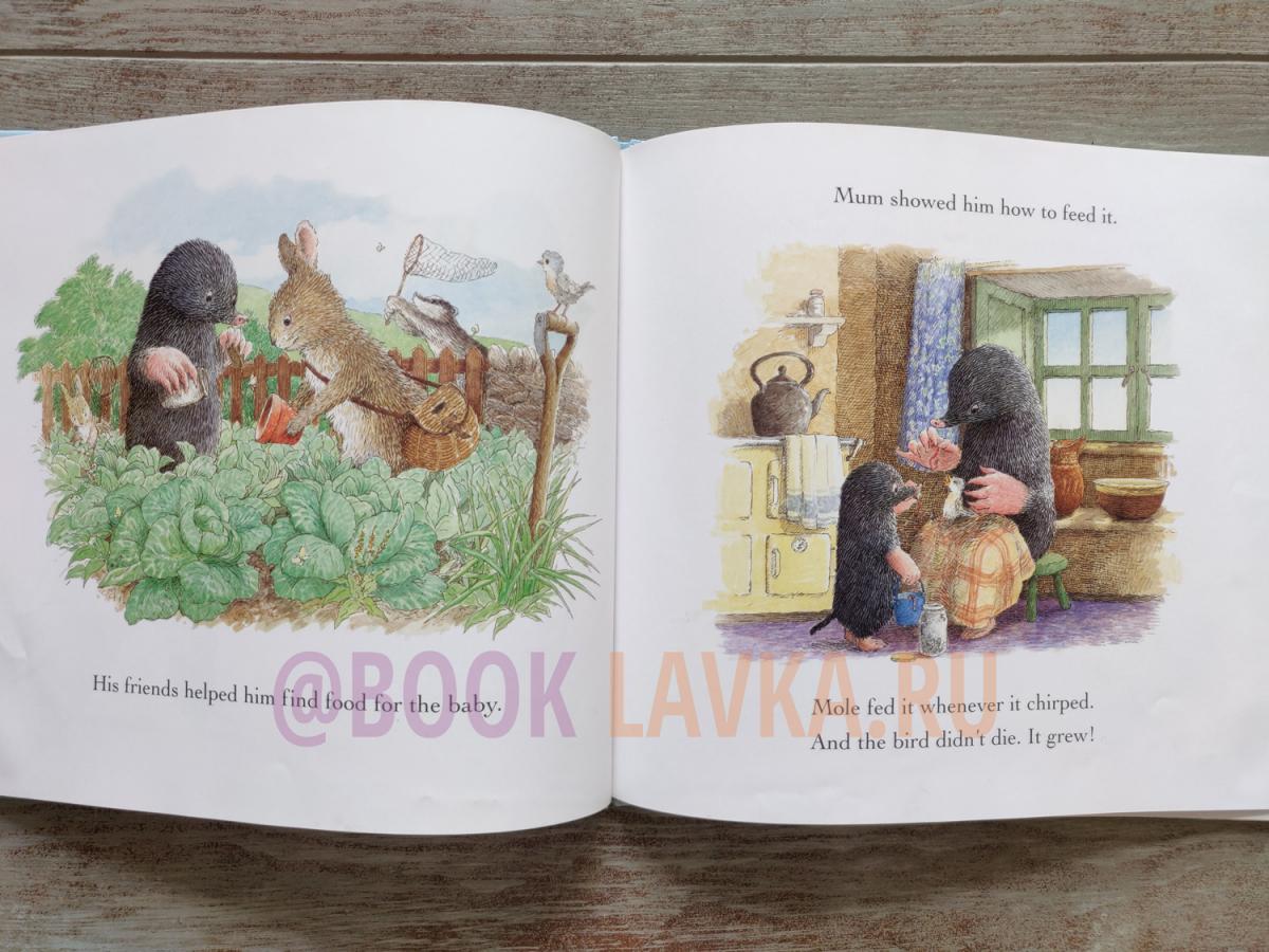 Mole and the Baby Bird – купить в интернет-магазине Booklavka (Буклавка)