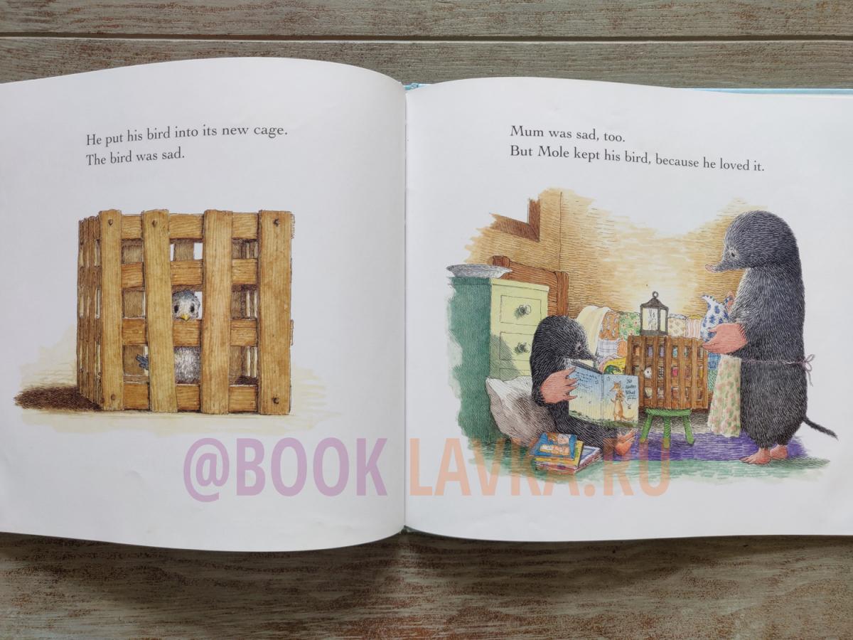 Mole and the Baby Bird – купить в интернет-магазине Booklavka (Буклавка)