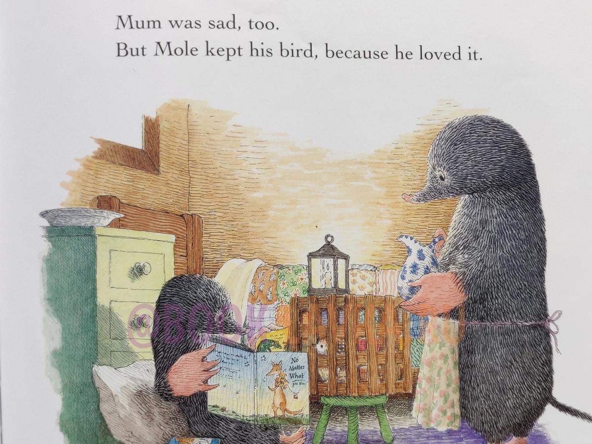 Mole and the Baby Bird – купить в интернет-магазине Booklavka (Буклавка)