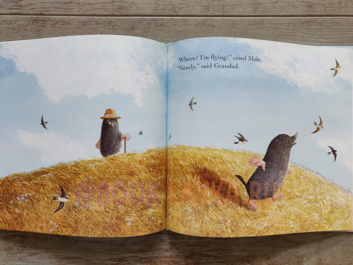 Mole and the Baby Bird – купить в интернет-магазине Booklavka (Буклавка)