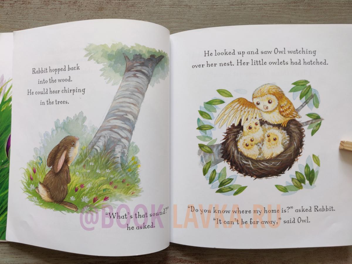 Rabbit's Spring Adventure – купить в интернет-магазине Booklavka (Буклавка)