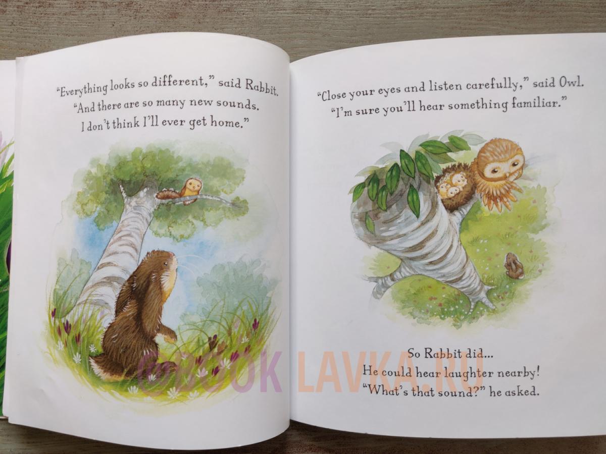 Rabbit's Spring Adventure – купить в интернет-магазине Booklavka (Буклавка)