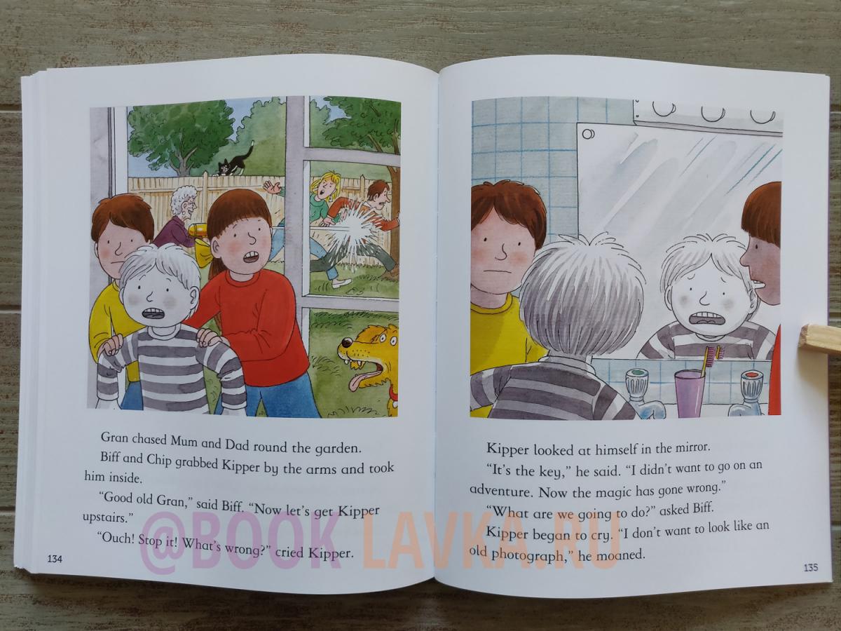 Read With Oxford: Stage 5. Biff, Chip and Kipper: Strange Old House and ...