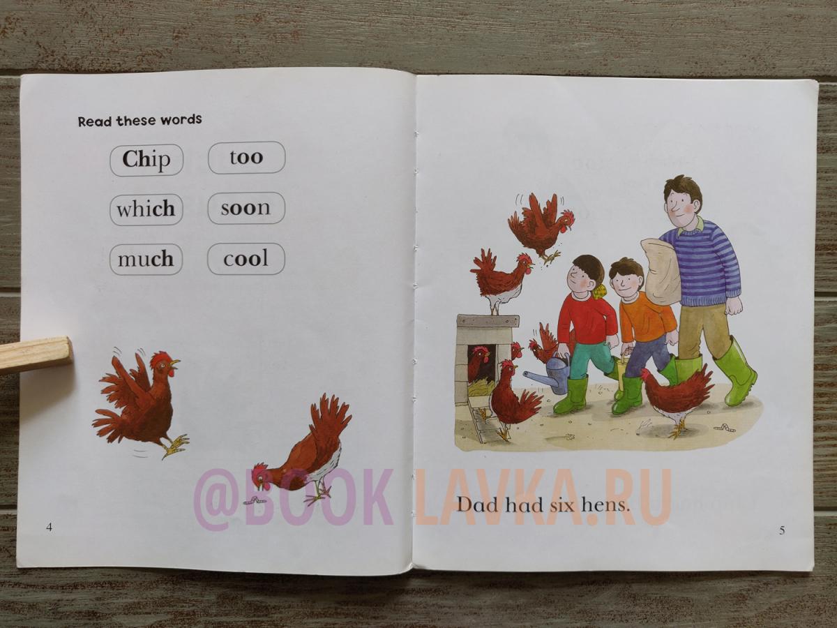 Read With Biff, Chip and Kipper: Such a Fuss – купить в интернет ...