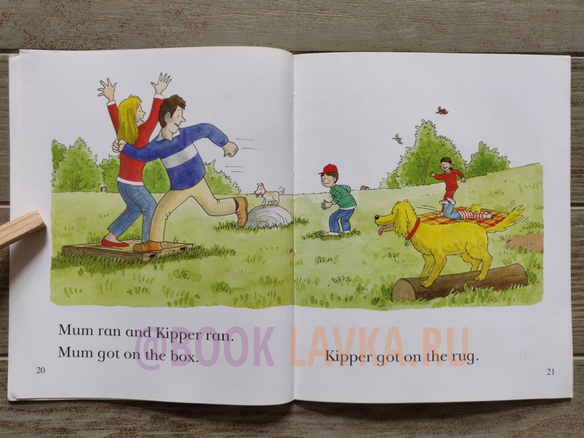 Read With Biff, Chip and Kipper: Cat in a Bag – купить в интернет ...